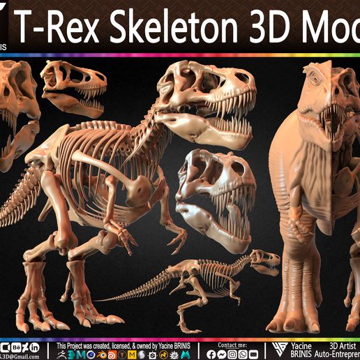 🦖 T-Rex Skeleton 3D Model・ 3D File for 3D printing・Cults