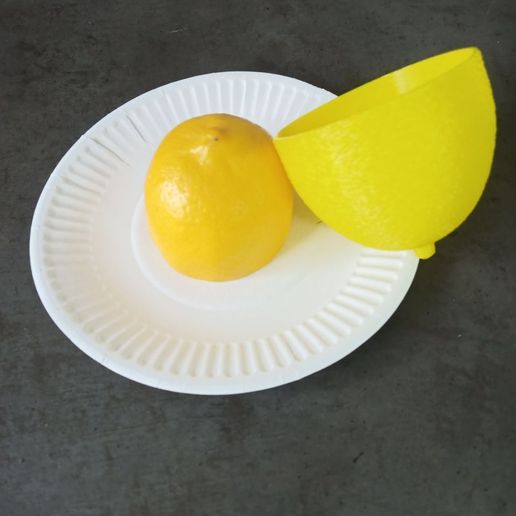 🍋 Lemon storage・Free STL File for 3D printing・Cults