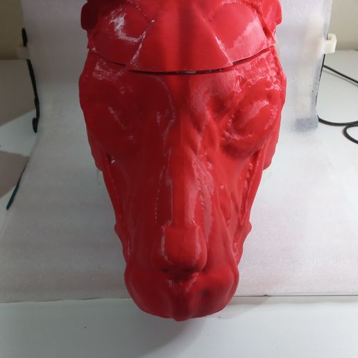 3D printer 3D Model of Canine Brain with Arteries • made with Ender 3・Cults