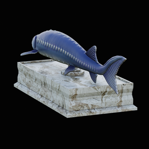 🐠 fish sturgeon / huso huso / vyza / Acipenseridae with storage space ...
