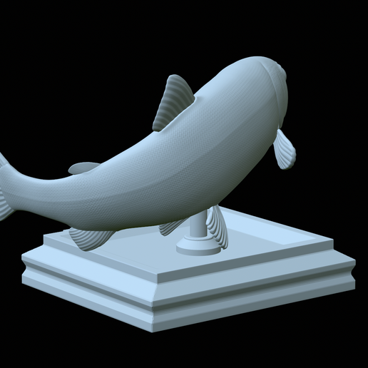 🐠 fish rainbow trout / Oncorhynchus mykiss trophy statue detailed ...
