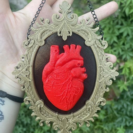 3D printed Anatomical Heart in Elegant Baroque Frame • made with Prusa ...