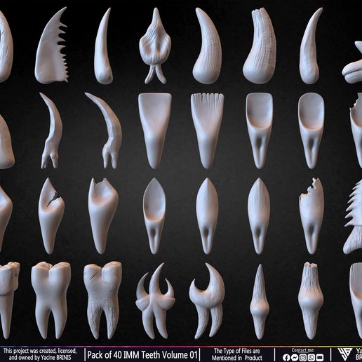 🦷 Pack of 40 IMM Teeth Volume 01・ 3D File for 3D printing・Cults
