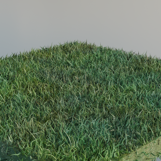 Archivo 3D Grass 3D Model 🌱 ・Objeto de impresión 3D para descargar・Cults