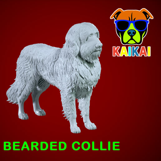 ⛰️ Bearded Collie - Mountain Collie model - 3D print・Archivo 3D para ...