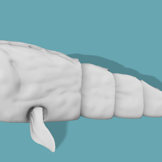 🐠 Sea monsters ( Bloop, Big Maja, Ninjen )・ STL File for 3D printing・Cults