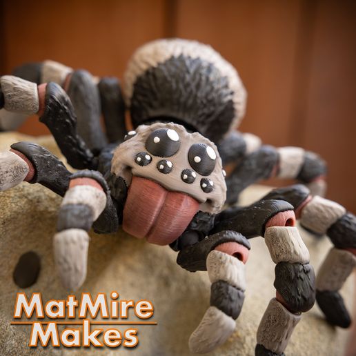 🕷️ Tarantula Articulated Figure, snap-fit assembly, Cute posable Flexi ...
