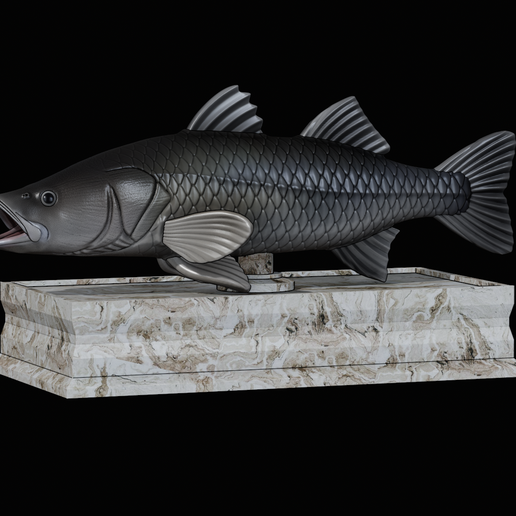STL file fish black snook / robalo / Centropomus nigrescens with ...