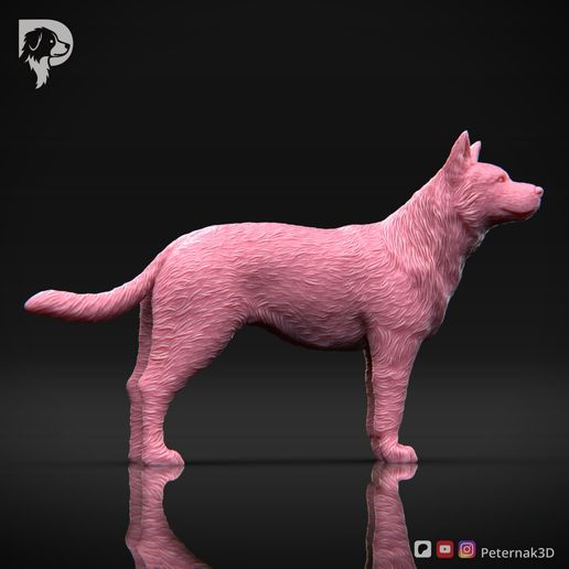 🐕 Australian Cattle Dog 3D Print Model Pose 03・ STL File for 3D ...