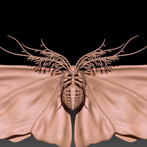 💍 Gnoster, Wisdom of Night - Elden Ring Nightreign・ STL File for 3D ...