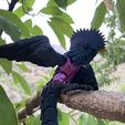 STL file Quetzal 🐦 (3MF)・3D print design to download・Cults
