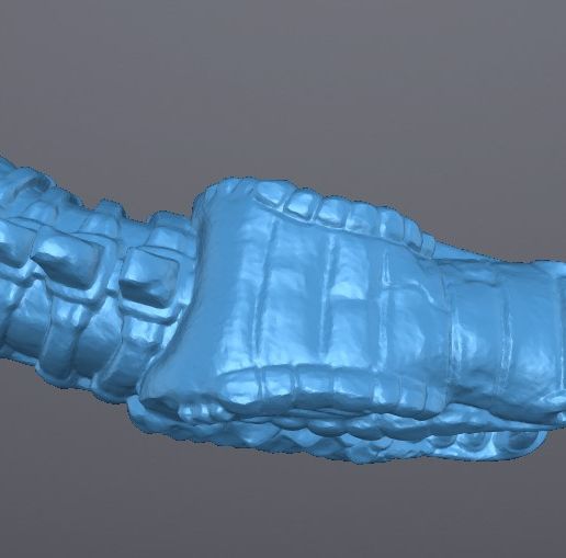 🐍 Snake Mountain Classics head Snake /Snake・ STL File for 3D printing・Cults