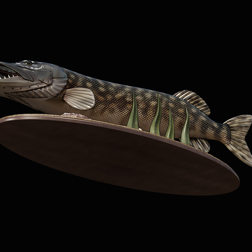 🐠 fish NORTHERN PIKE (ESOX LUCIUS) in motion 2 natural base detailed ...