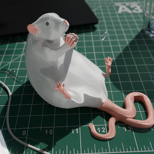 🐀 FAT CUTE RAT EATING・ STL File for 3D printing・Cults