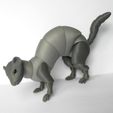 STL file Ferret BJD 🎲 ・3D print design to download・Cults