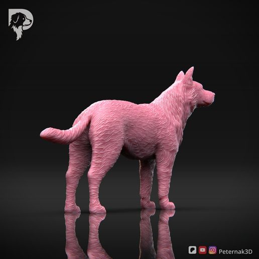 🐕 Australian Cattle Dog 3D Print Model Pose 03・ STL File for 3D ...