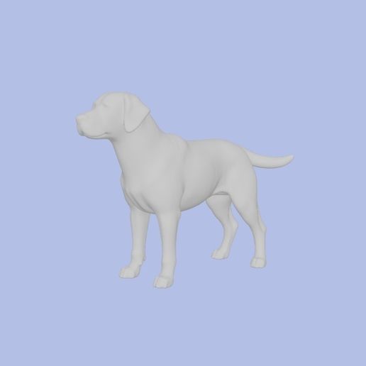 STL file Labrador 🐕 ・3D print object to download・Cults