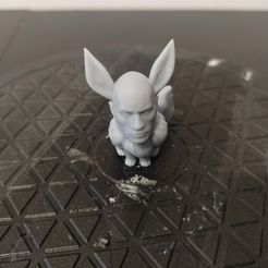3D printing Eevee The Rock Pokemon Evolution • made with Elegoo Mars 2 ...