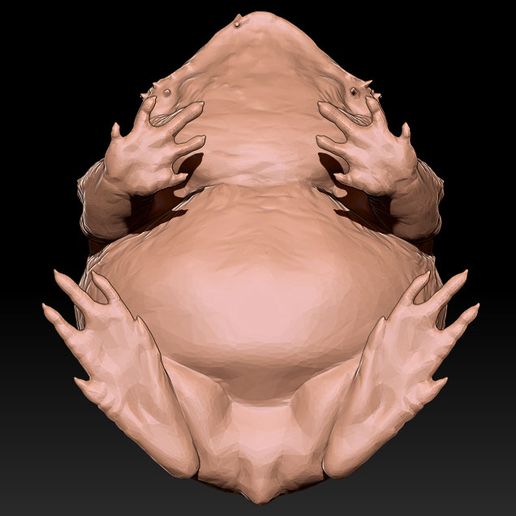 🐚 Gorf - Mortal Shell・ STL File for 3D printing・Cults