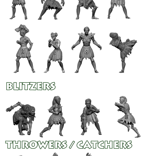 🩸 Bremusa's Blitz - Amazon / Human Blood Bowl team (15 positionals)・ 3D ...