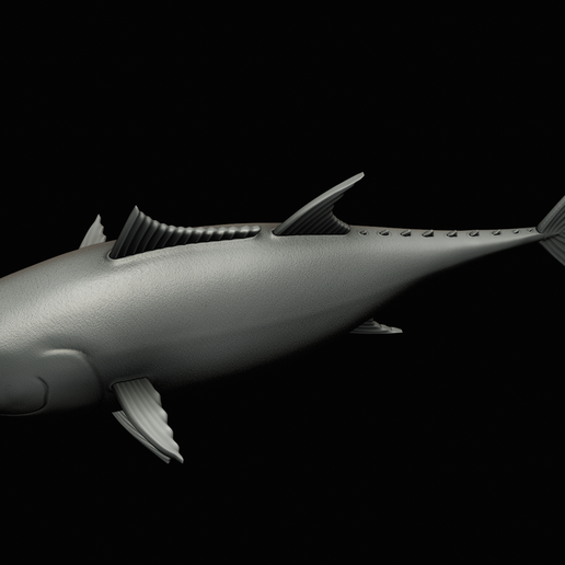 🐠 fish tuna bluefin / Thunnus thynnus with storage space / for 3d ...