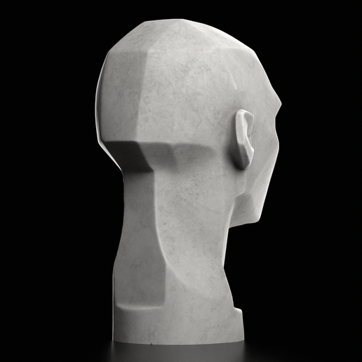 🧑‍🏫 Planes of the Head - John Asaro - 1976・ STL File for 3D printing・Cults