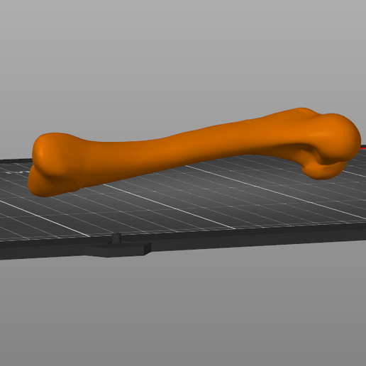 🦴 Human Tibia – Anatomically Accurate 3D Model 🦴・ STL File for 3D ...