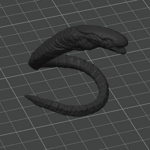 🖨️ AVP/Aliens Chestburster/Xenomorph STL・Free STL File for 3D printing ...