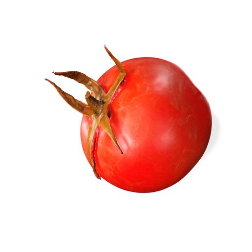 🍅 Tomato FRUIT 3D・ OBJ File for 3D printing・Cults