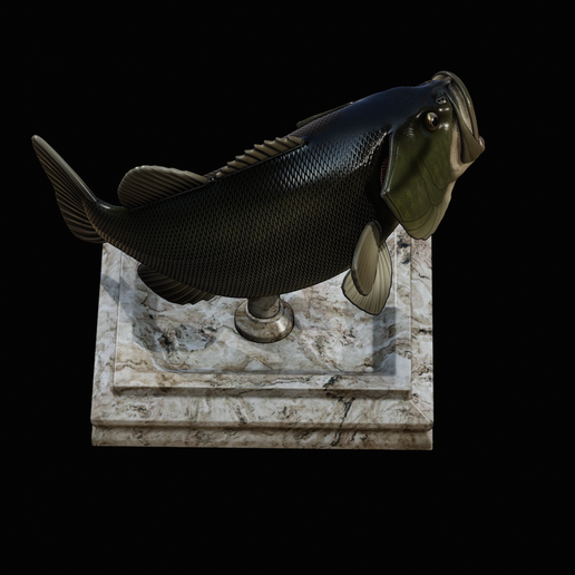 🐠 fish Largemouth Bass / Micropterus salmoides trophy statue detailed ...