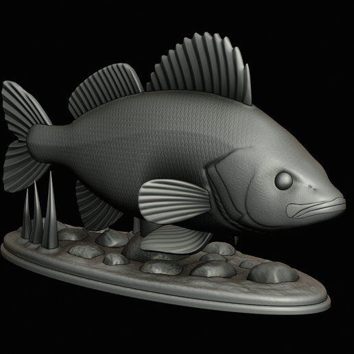 STL file fish perch / Perca fluviatilis statue underwater detailed ...