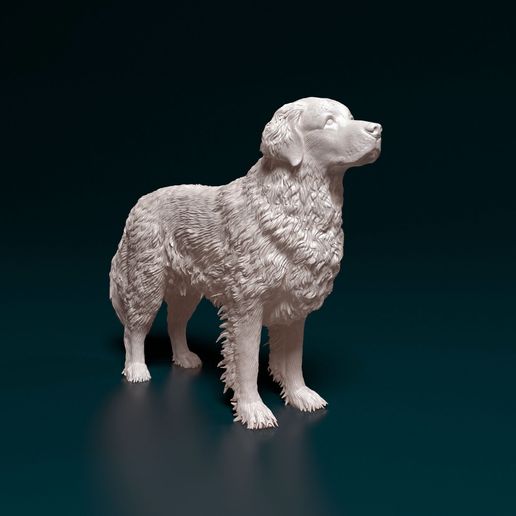 🐕 Golden Retriever・ STL File for 3D printing・Cults