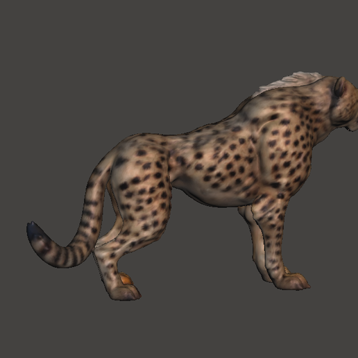 STL file Fast and Muscular Cheetah Figure - 3D Print Model 🐆 (OBJ)・3D ...
