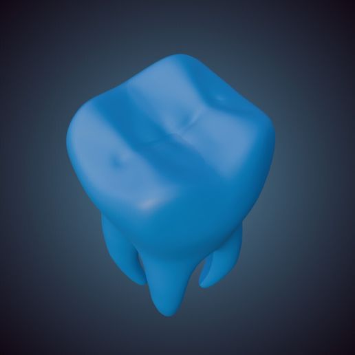 🦷 Tooth・Free STL File for 3D printing・Cults