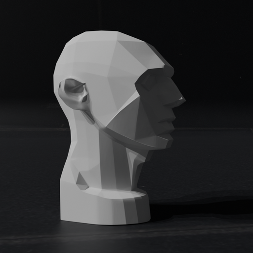 🧑‍🏫 Asaro‑Head Study Model | Inspired‑by John Asaro Planes of the Head ...