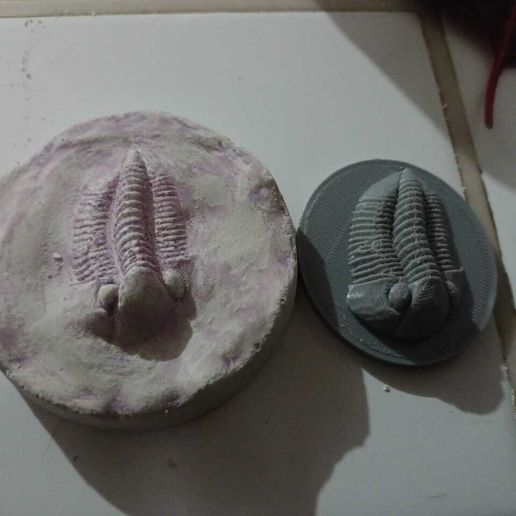 🦭 Trilobite Fossil Seal・ STL File for 3D printing・Cults