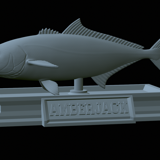 STL file fish greater amberjack / Seriola dumerili statue detailed ...
