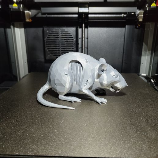 🐀 Geometric Low-Poly Rat・3D Print with the Creality K1 Max 3D printer・Cults