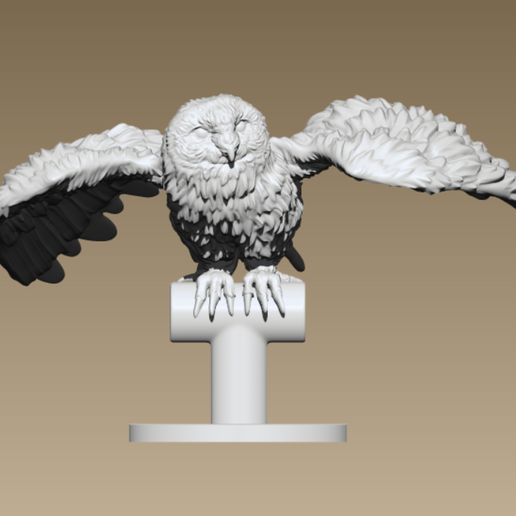 STL file Owl 🦉 (OBJ)・Template to download and 3D print・Cults