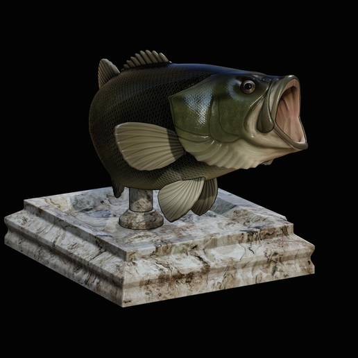 🐠 fish Largemouth Bass / Micropterus salmoides trophy statue detailed ...