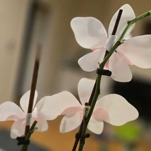 🌸 3D Printable Orchid Flowers – Shape with Heat Gun & Bring Your Orchid ...
