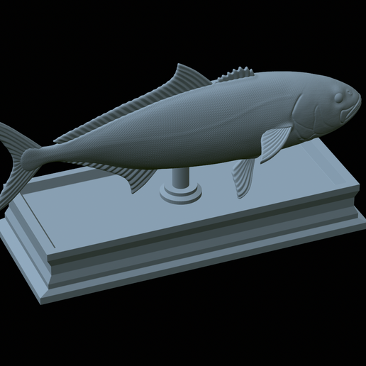STL file fish greater amberjack / Seriola dumerili statue detailed ...