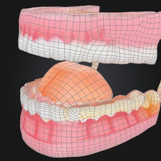 👄 3D Teeth and Mouth Model・ STL File for 3D printing・Cults