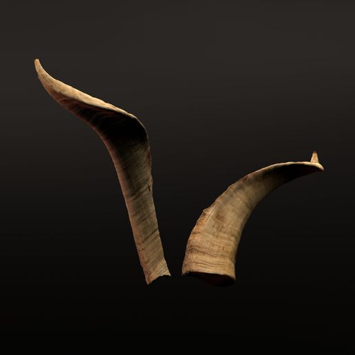 🐐 Magnus The Goat Horns - Cosplay・ OBJ File for 3D printing・Cults
