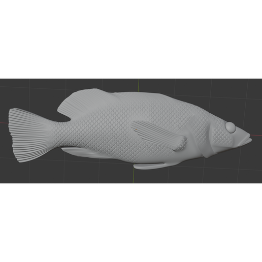 🐠 Comber Fish・ STL File for 3D printing・Cults
