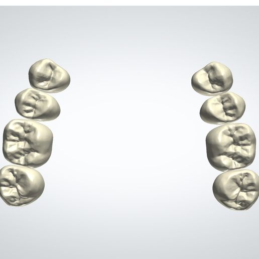 🦷 3Shape Library Molar_Natural_6・ STL File for 3D printing・Cults
