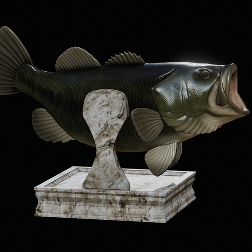 🐠 fish Largemouth Bass / Micropterus salmoides in motion 2 trophy ...