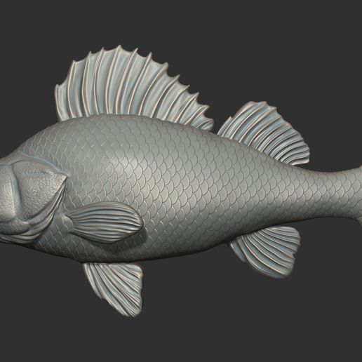 🐠 Perch fish on the base・ STL File for 3D printing and CNC machining ...
