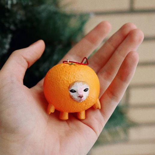 tangerine cat