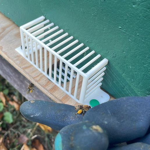 STL file Protective cage for bees from Asian hornets 🐝 ・3D printable ...